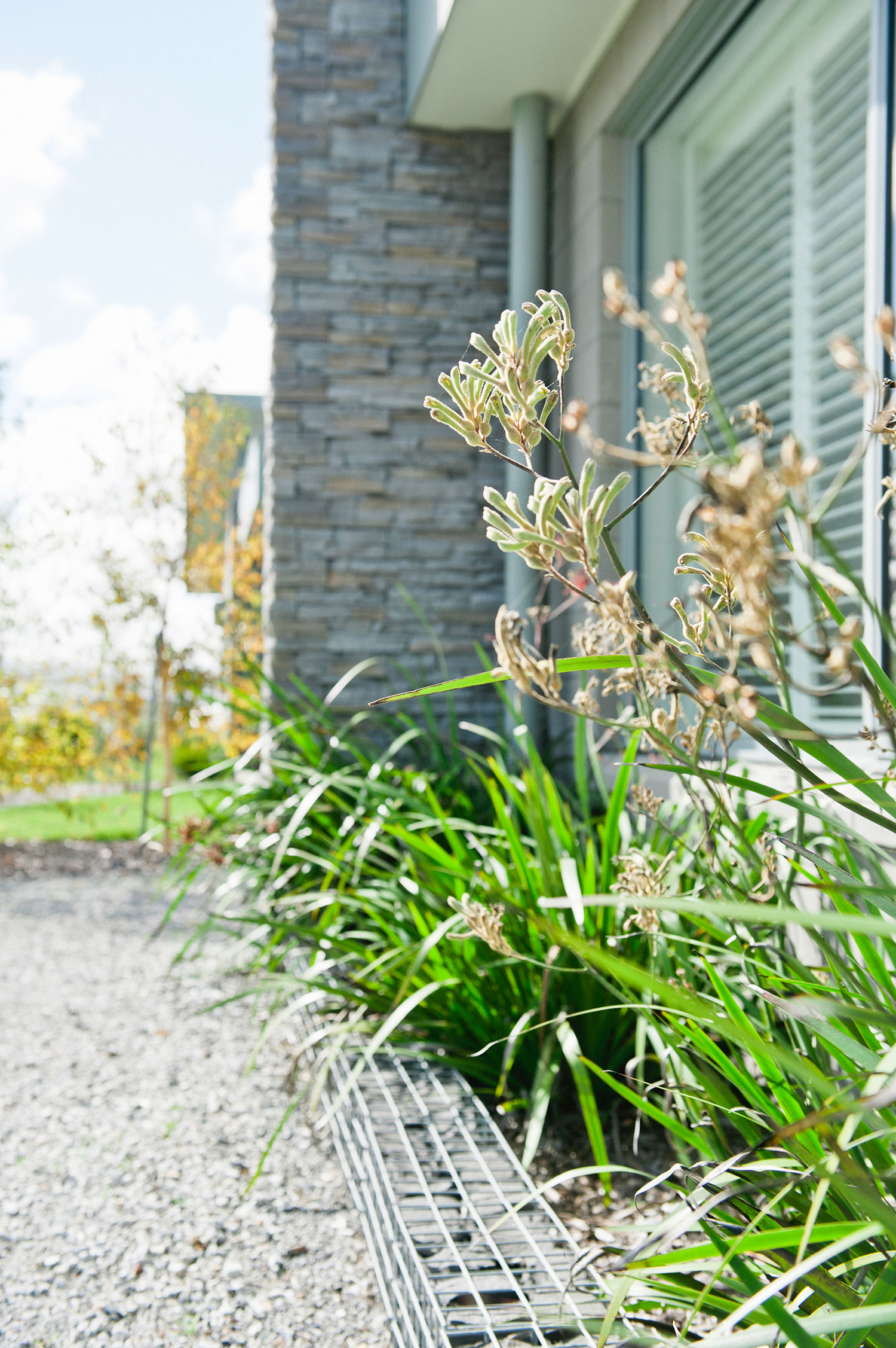 Foster | Gallery | David Trease Design and Drafting Solutions